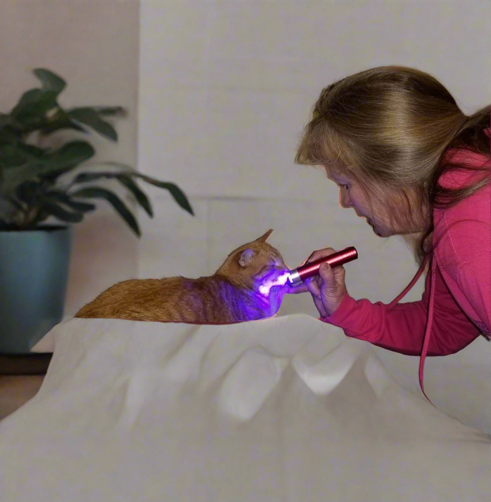 Multi-Light – Photonic Health